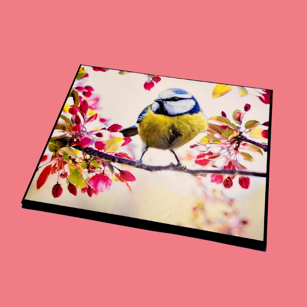 Plak Mount – Super Plak Inc.